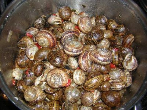 Caragols amb samfaina | Recepta de cuina de Ganxeta - RECEPTES.CAT